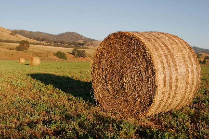 Farmer Essentials and Safety – Country Farm Supplies UK
