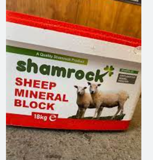 Shamrock Sheep Mineral Block 18kg – CountryfarmsuppliesUK