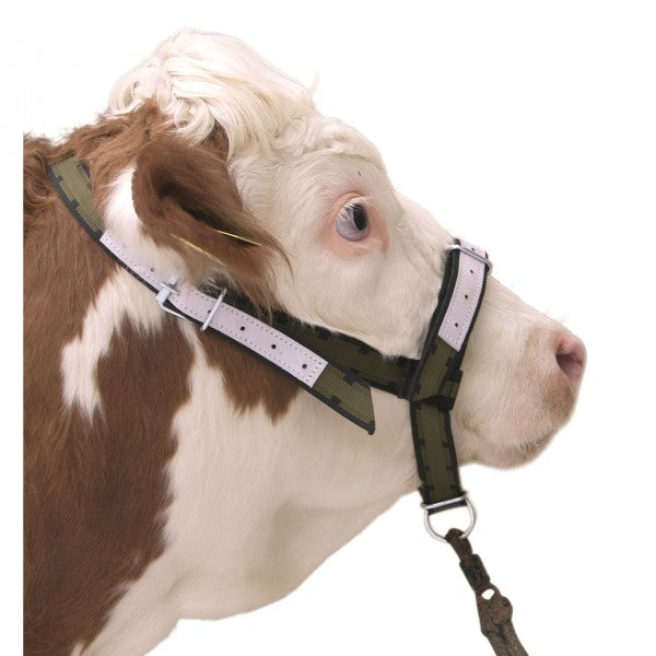 Nylon Cattle Halter Olive Green – CountryfarmsuppliesUK