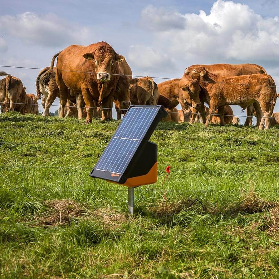 Gallagher S200 Solar Fencer – CountryfarmsuppliesUK